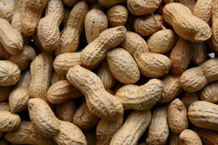 How to Safely Store Peanuts – Step by Step Guide